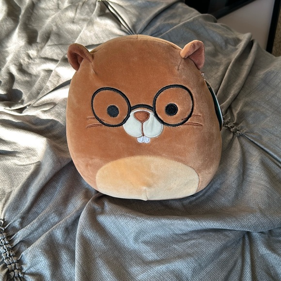 Squishmallows | Toys | Squishmallow Chip The Beaver 8 Nwt | Poshmark